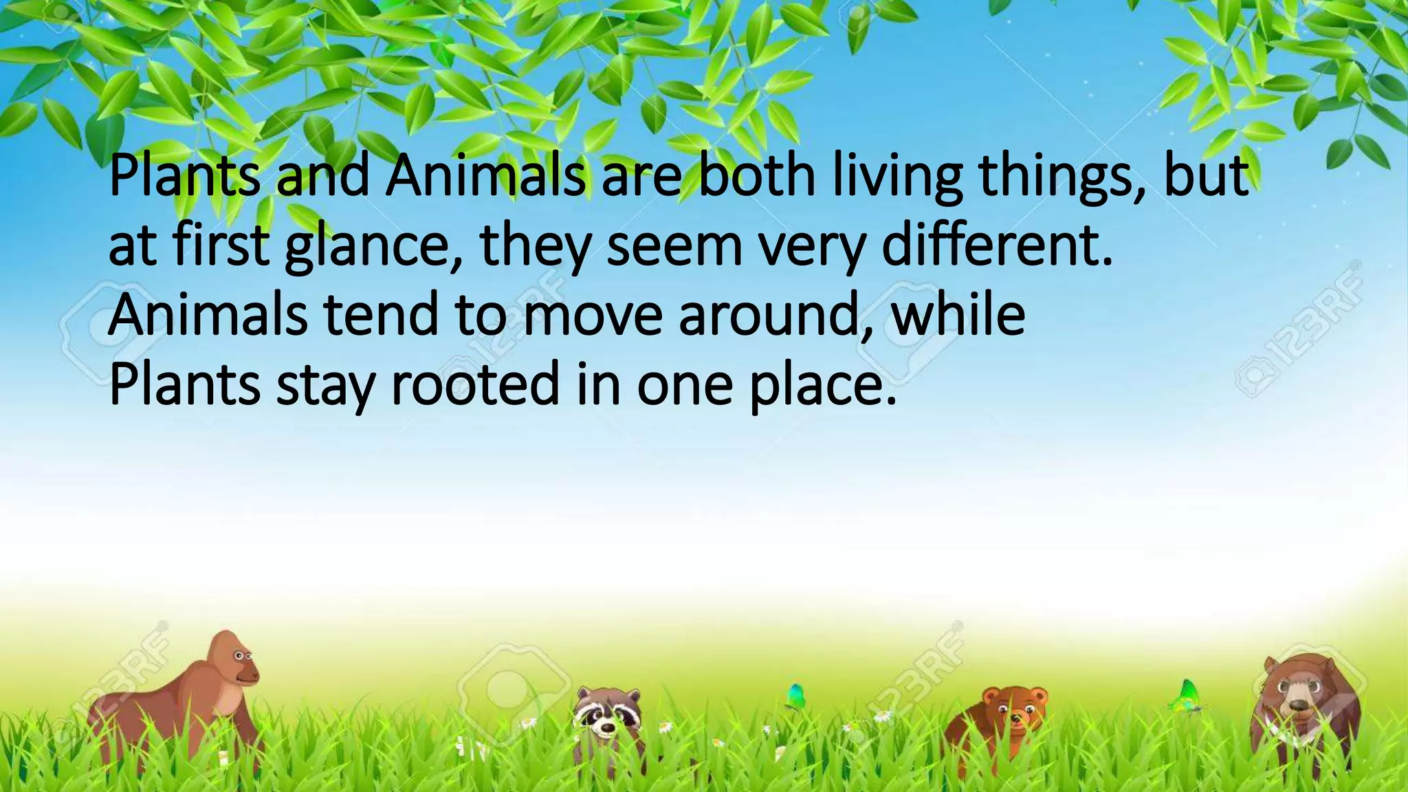 COMMON CHARACTERISTICS OF ANIMALS AND PLANTS FOR CLASSIFICATION(GRADE6.pptx
