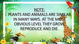 COMMON CHARACTERISTICS OF ANIMALS AND PLANTS FOR CLASSIFICATION(GRADE6.pptx