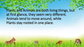 COMMON CHARACTERISTICS OF ANIMALS AND PLANTS FOR CLASSIFICATION(GRADE6.pptx