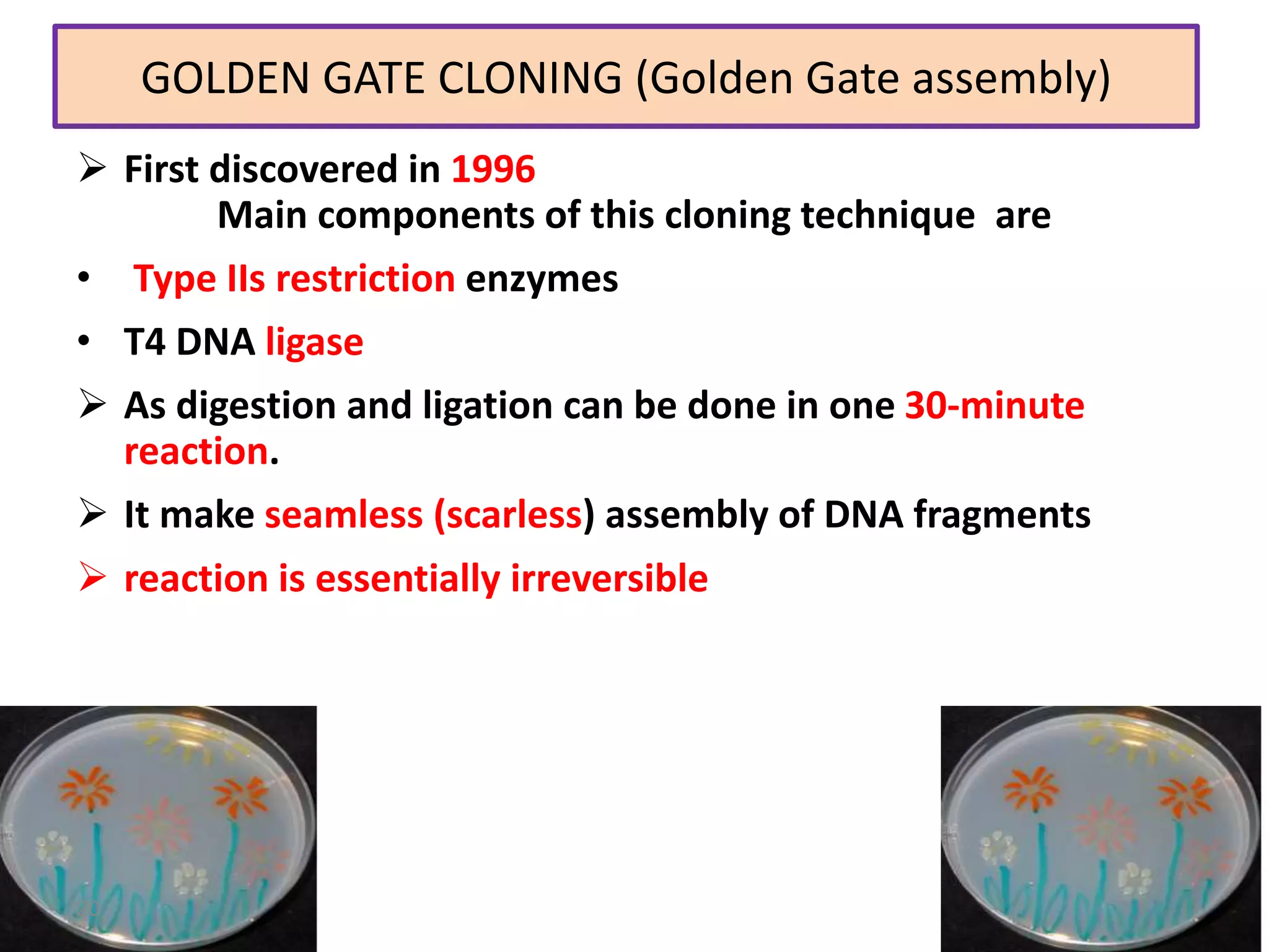 Common cloning technique | PPTX