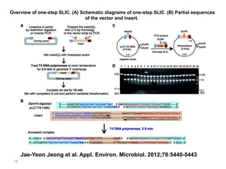 Common cloning technique | PPTX