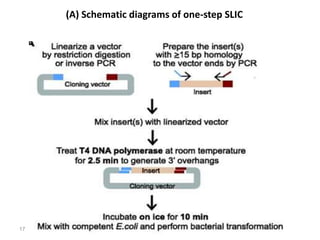 Common cloning technique | PPTX