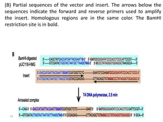 Common cloning technique | PPTX