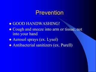 Common Cold Prevention