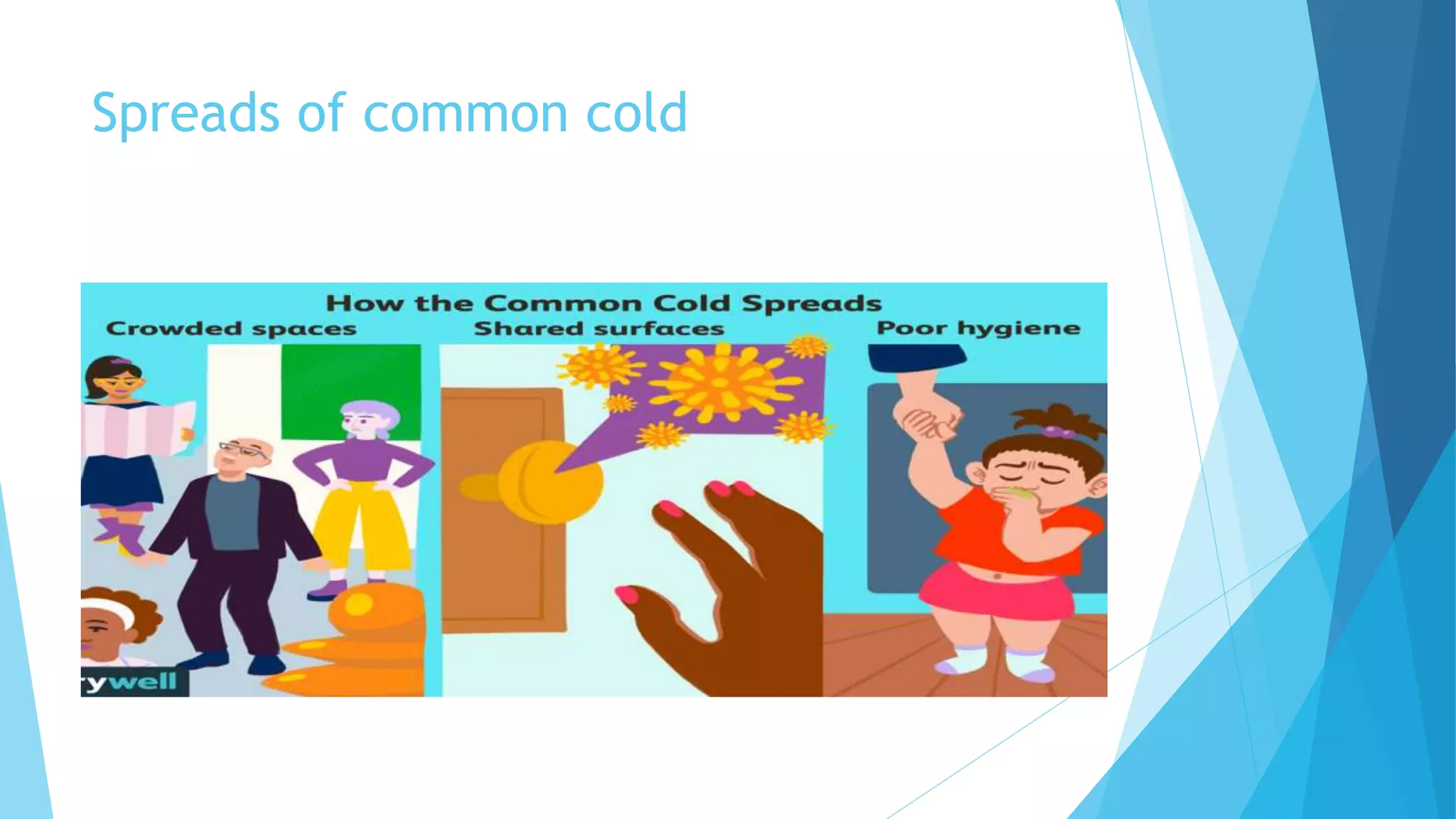 Common cold | PPTX