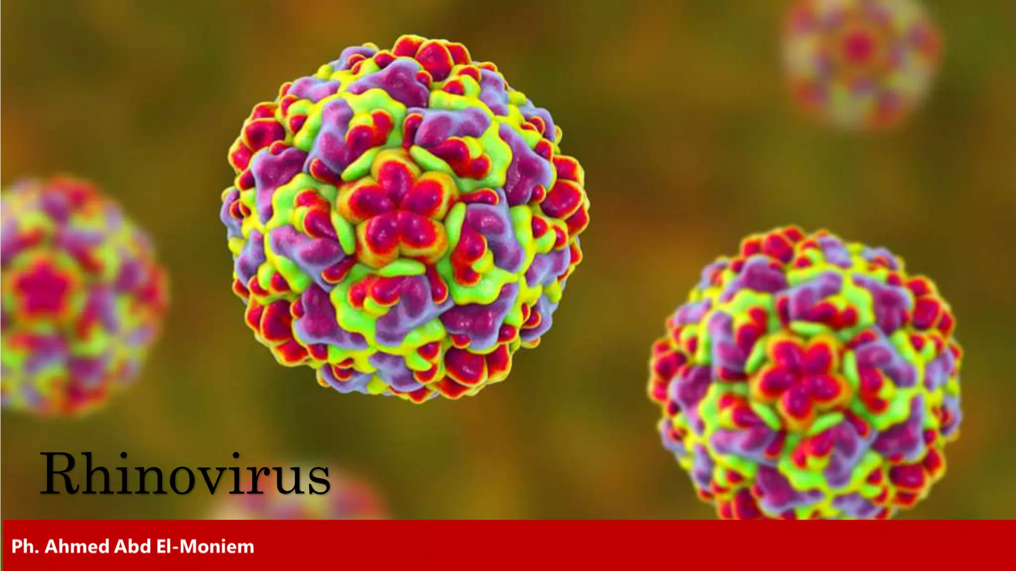 Common cold. | PPTX | Cold and Flu | Diseases and Conditions