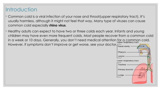 common cold and its preventive measures with symptoms | PPTX