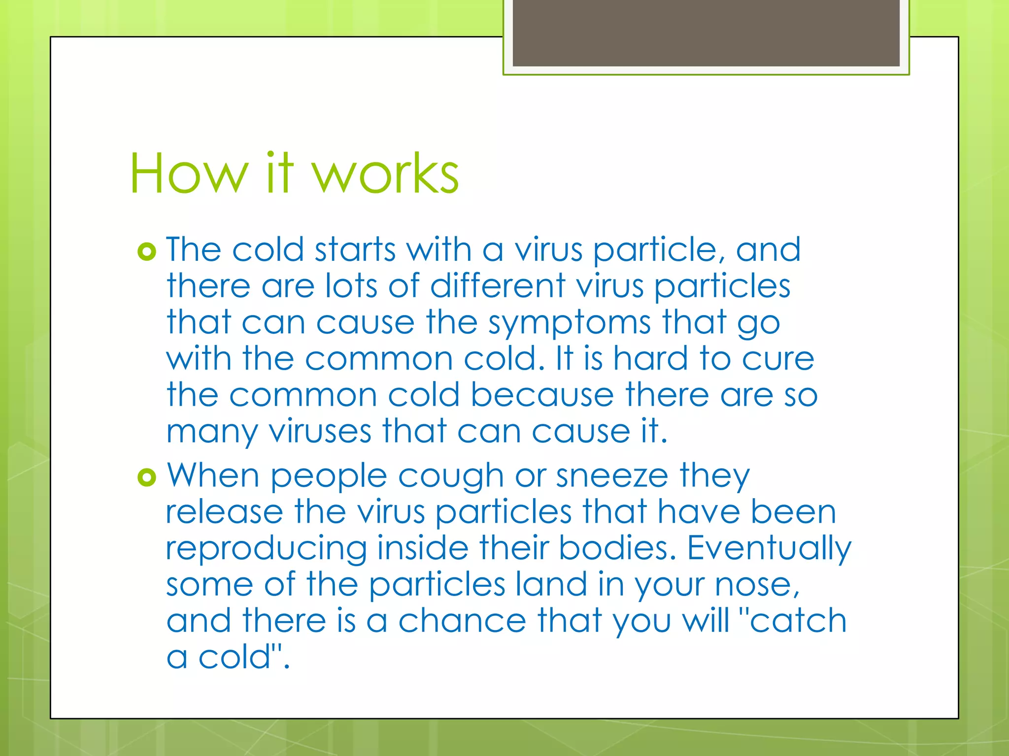 Common cold final 1 | PPT