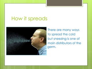 Common cold final 1 | PPT