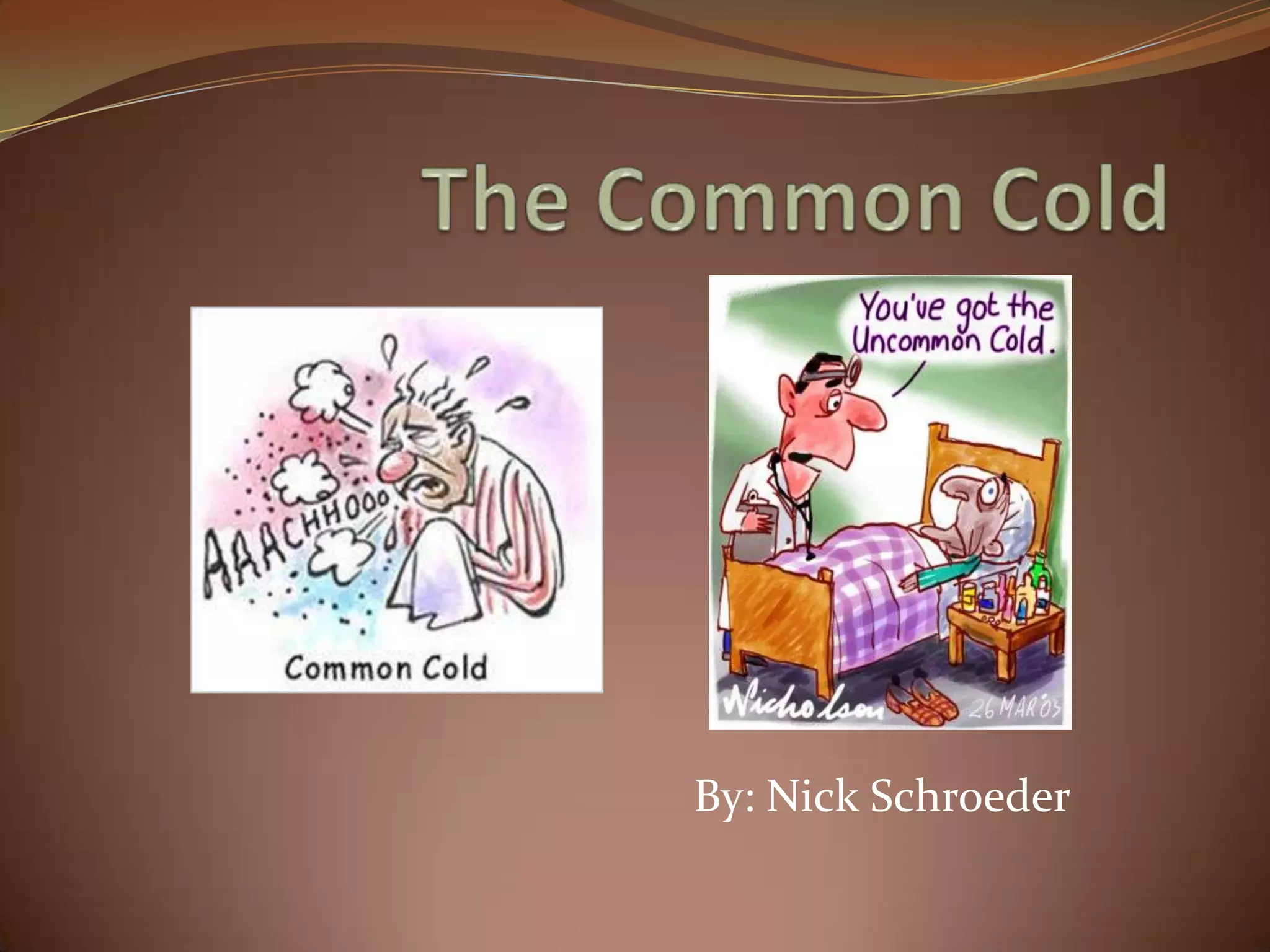 Common Cold Powerpoint | PPTX