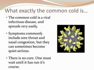 Common Cold Powerpoint | PPTX