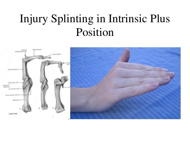 Common conditions of the hand (2013)