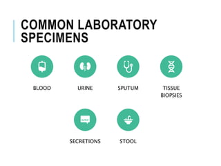 Common diagnostic & laboratory tests | PPTX