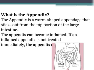 Common digestive problems | PPTX | Digestive Disorders | Diseases and ...
