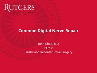 Common digital Nerve Talk with anatomy slides | PPTX