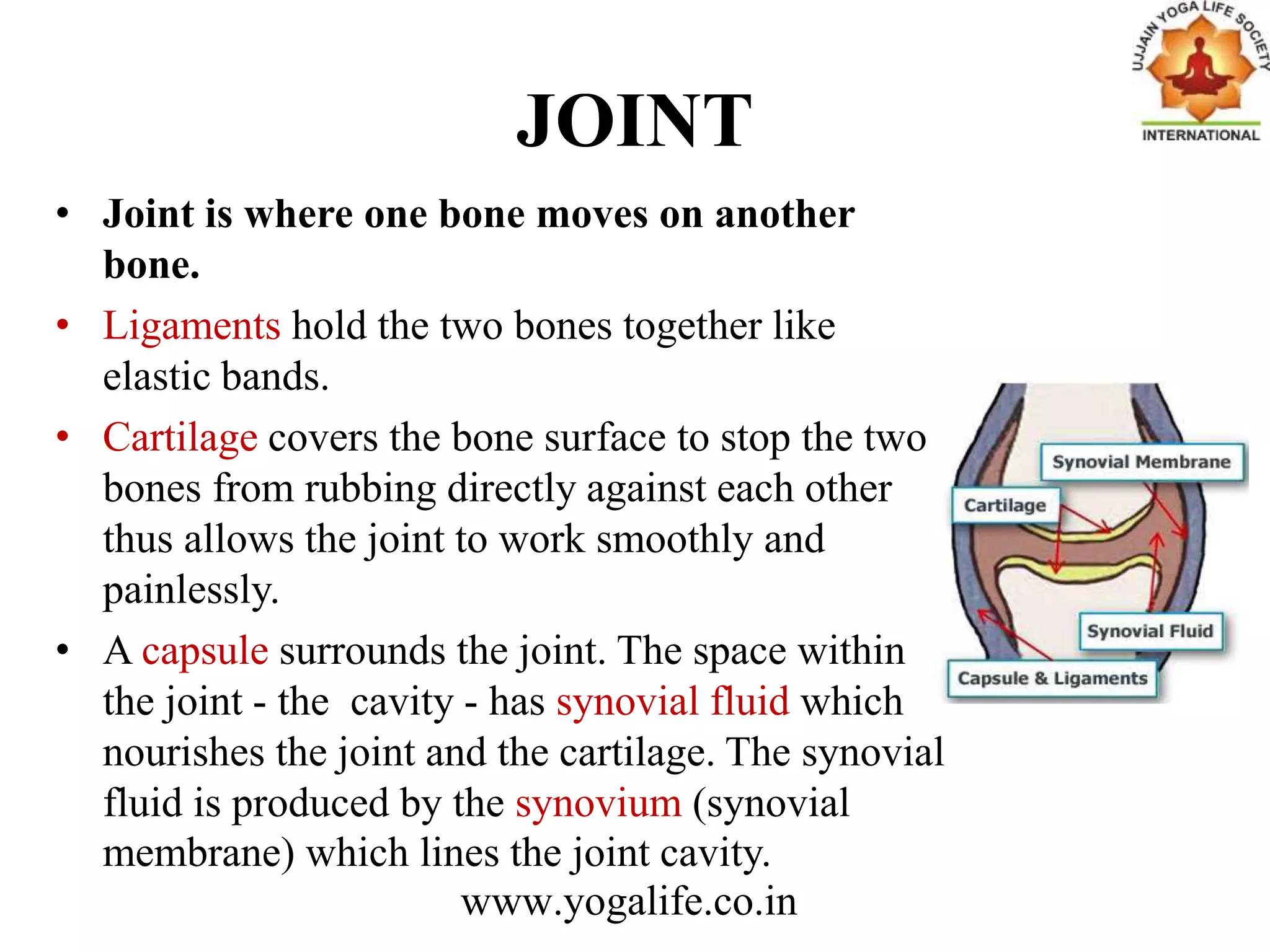 Yoga for orthopedic arthritis and osteoporosis | PPTX