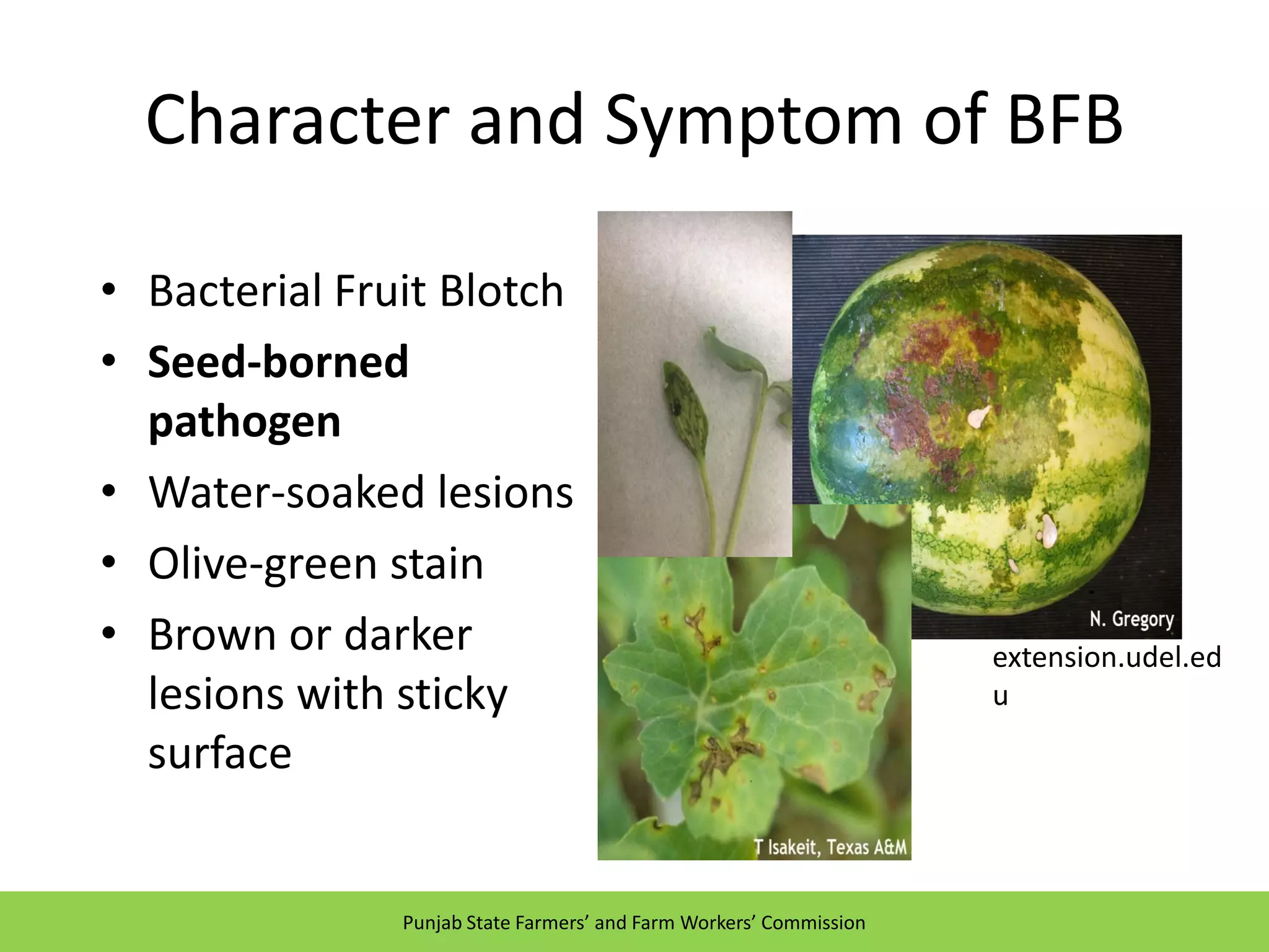 Common Diseases and Pests Management Introduction.pdf