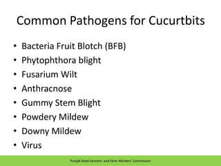 Common Diseases and Pests Management Introduction.pdf | Agriculture ...