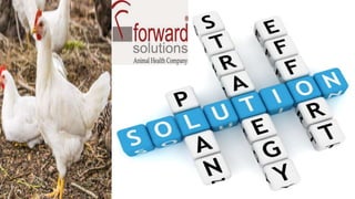 Common diseases at Poultry Farm & their solutions | PPTX