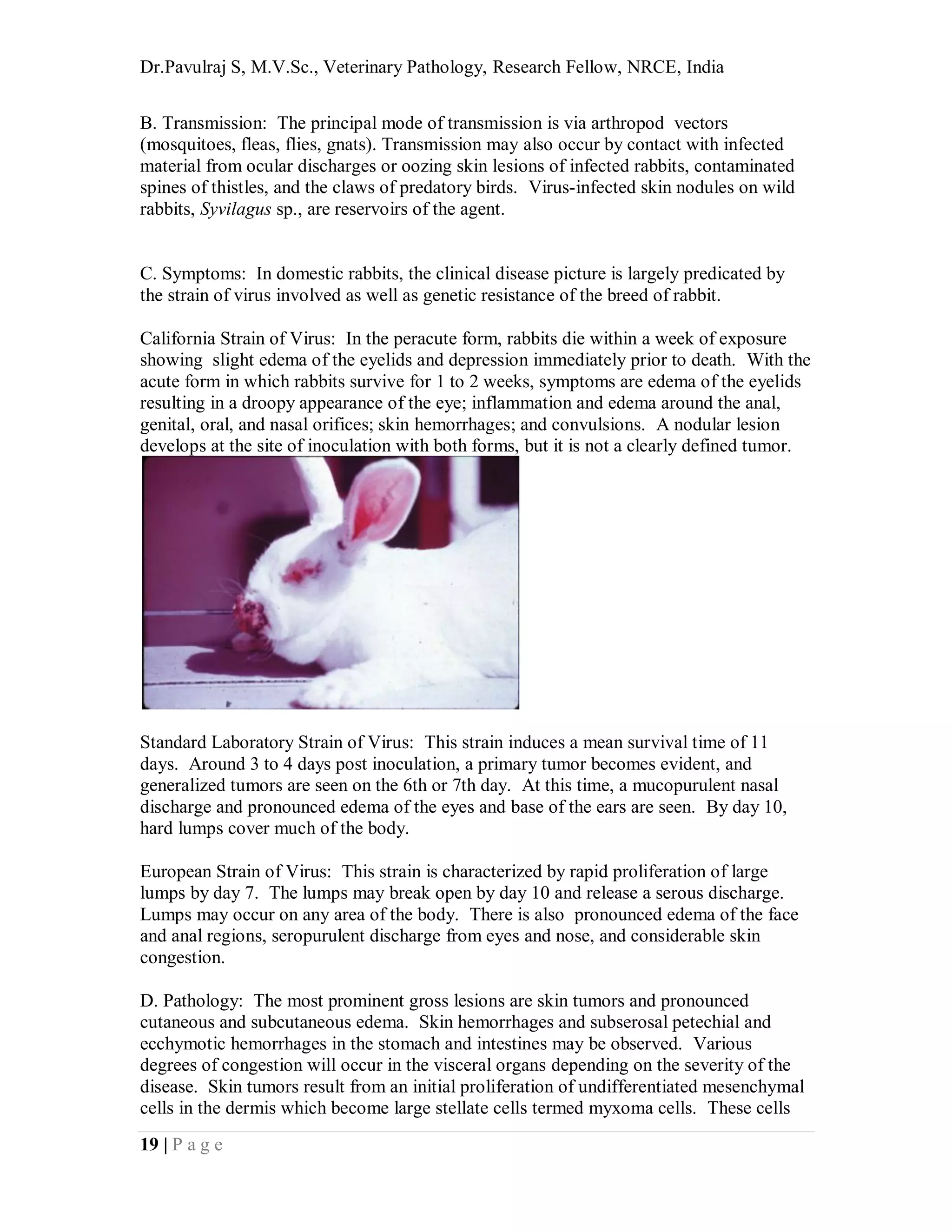 Common diseases and affections of laboratroy rabbits, quick review ...
