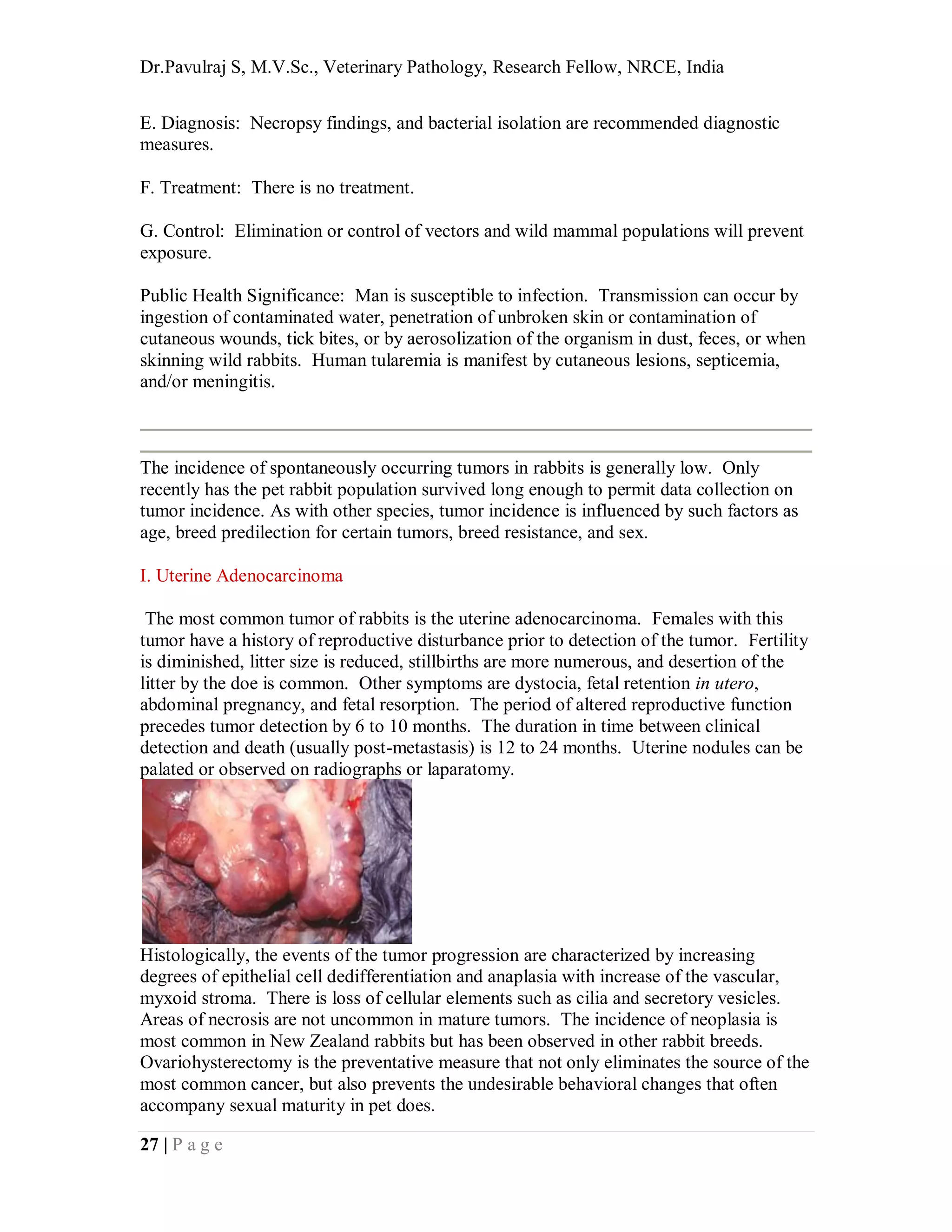 Common diseases and affections of laboratroy rabbits, quick review ...