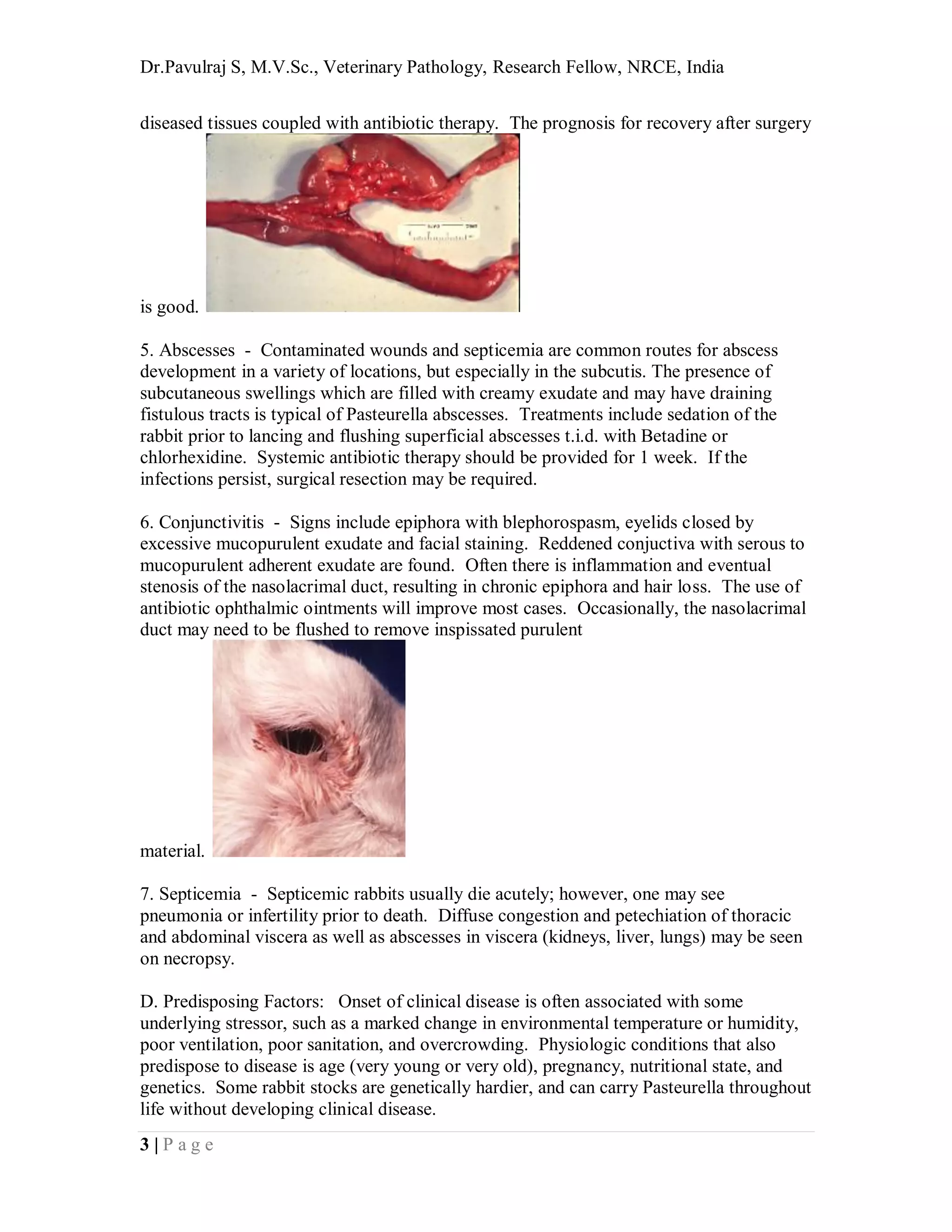 Common diseases and affections of laboratroy rabbits, quick review ...