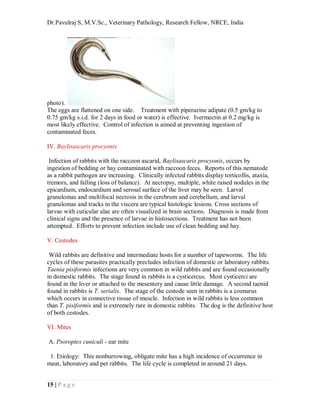 Common diseases and affections of laboratroy rabbits, quick review ...