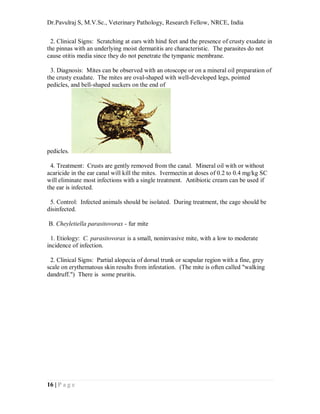 Common diseases and affections of laboratroy rabbits, quick review ...