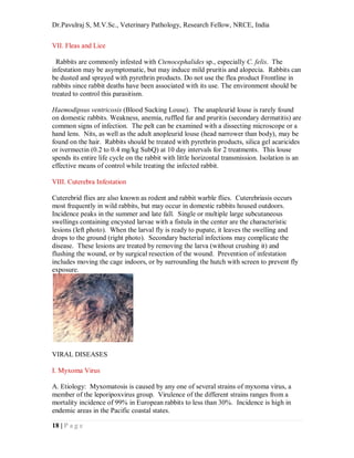 Common diseases and affections of laboratroy rabbits, quick review ...