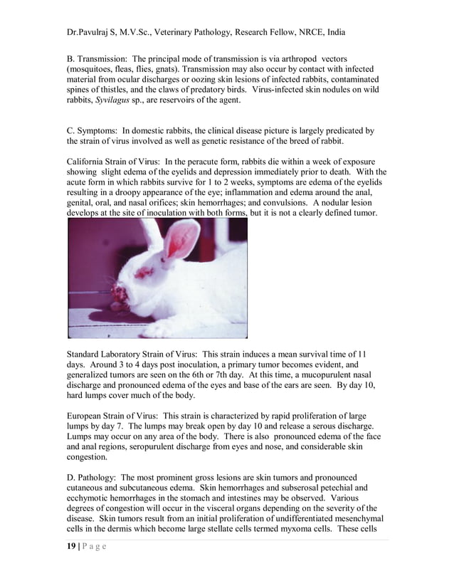 Common diseases and affections of laboratroy rabbits, quick review ...