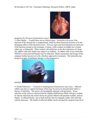 Common diseases and affections of laboratroy rabbits, quick review ...