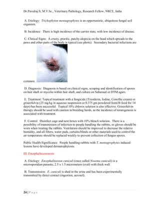 Common diseases and affections of laboratroy rabbits, quick review ...