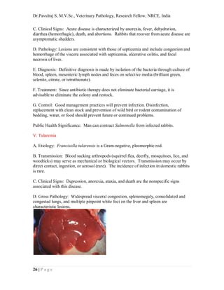 Common diseases and affections of laboratroy rabbits, quick review ...