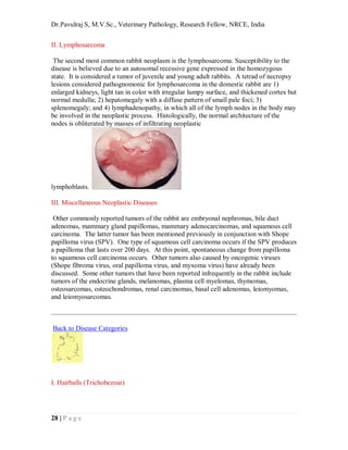 Common diseases and affections of laboratroy rabbits, quick review ...