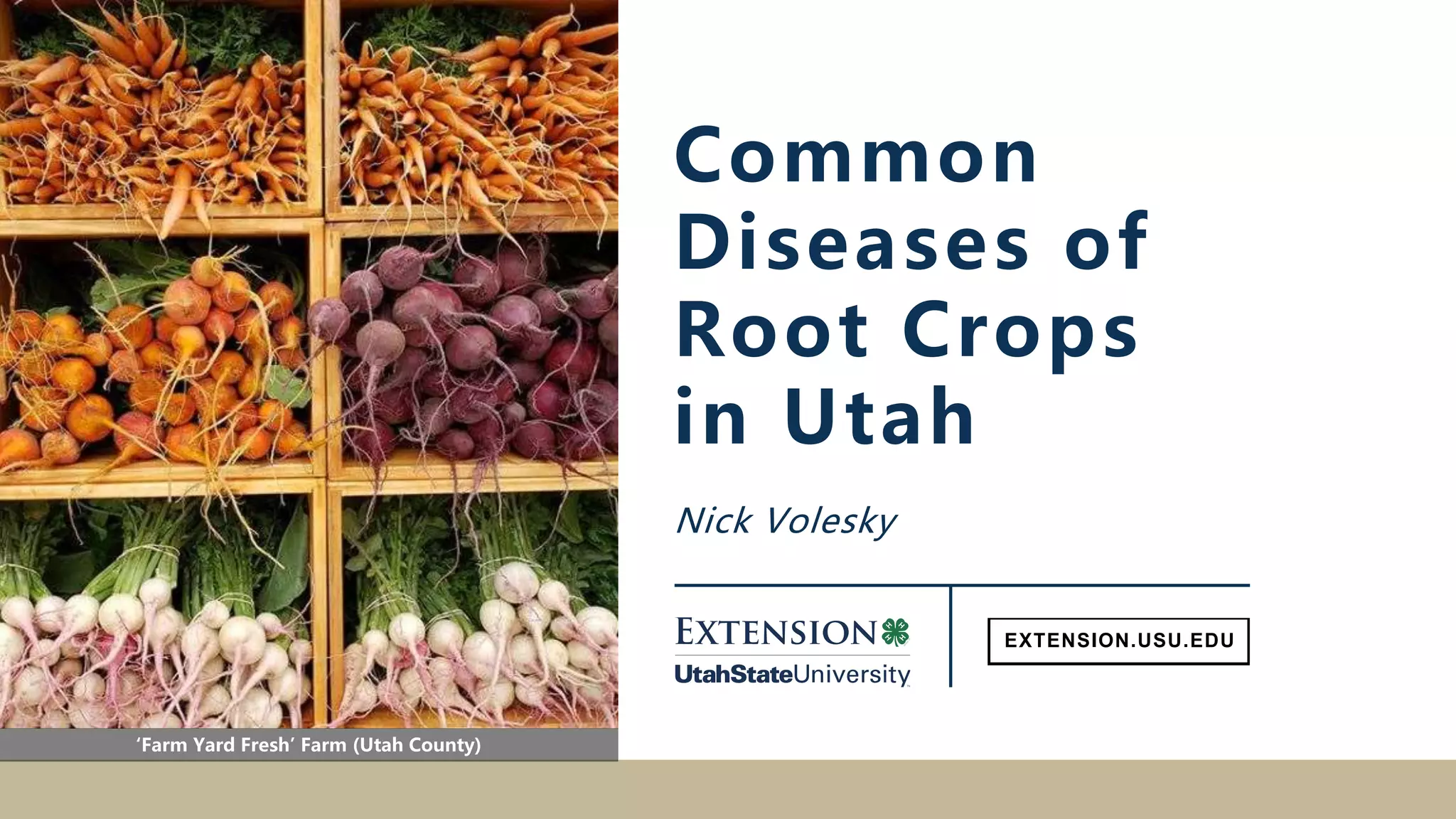 Common Diseases of Root Crops in Utah | PPT
