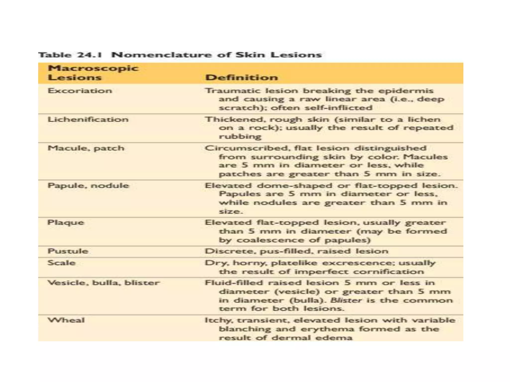 COMMON DISEASES OF THE SKIN.pptx | Skin and Dermatology | Diseases and Conditions