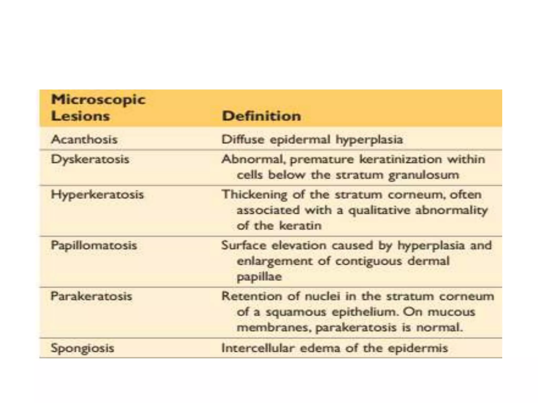 COMMON DISEASES OF THE SKIN.pptx | Skin and Dermatology | Diseases and ...