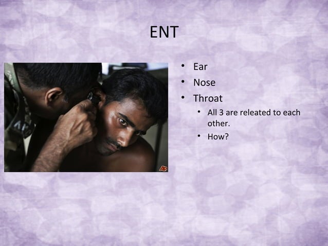 Common ent problems and managements | PPT | Ear, Nose and Throat ...