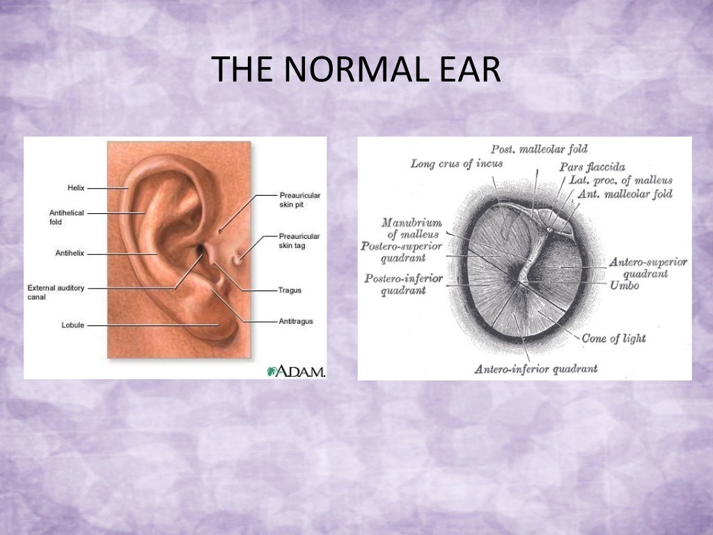 Common Ent Problems And Managements common-ent-problems-and-managements