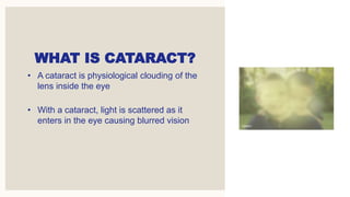 Common eyediseases you need to know.pptx