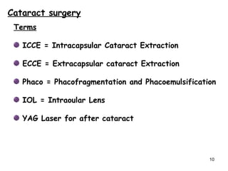 Common Eye Problem | PPT