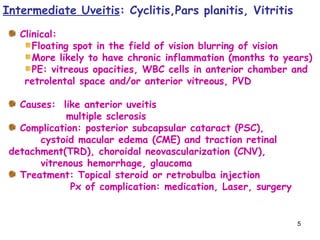 Common Eye Problem | PPT