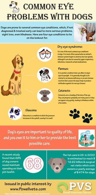 Common Eye Problems With Dogs | PDF