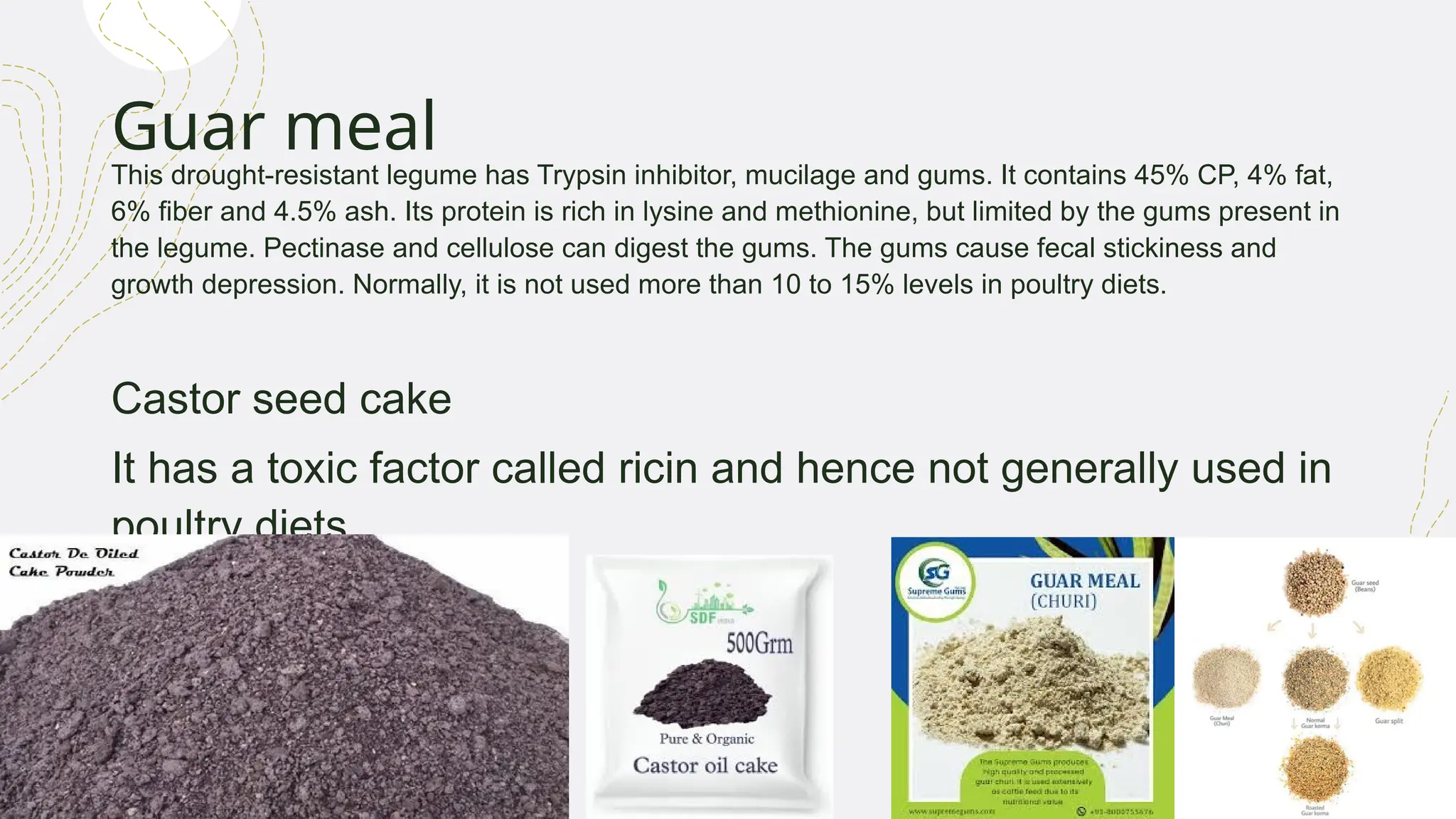 Common feedSTUFFS FOR POULTRY for poultry nutrition.pptx