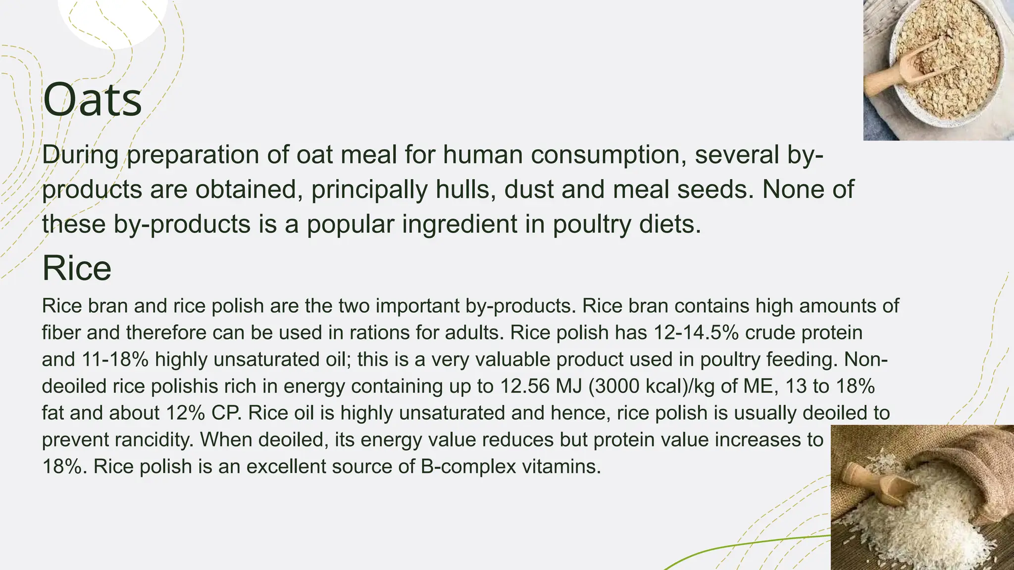 Common feedSTUFFS FOR POULTRY for poultry nutrition.pptx