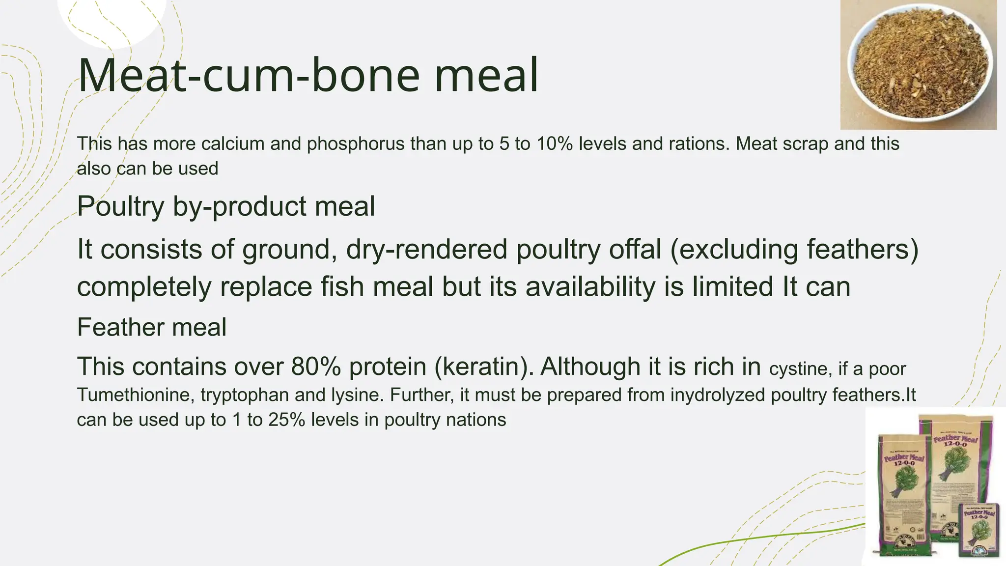 Common feedSTUFFS FOR POULTRY for poultry nutrition.pptx