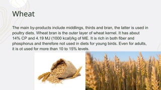 Common feedSTUFFS FOR POULTRY for poultry nutrition.pptx