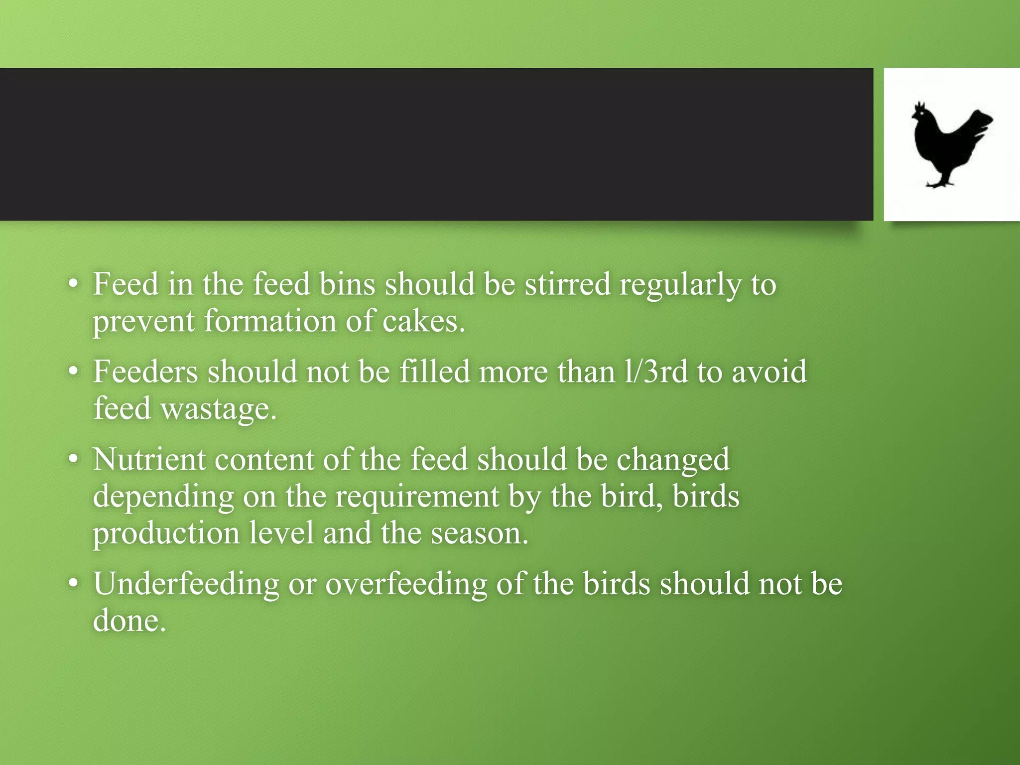 Common feedstuffs for poultry and nutrient requirement of poultry feed ...