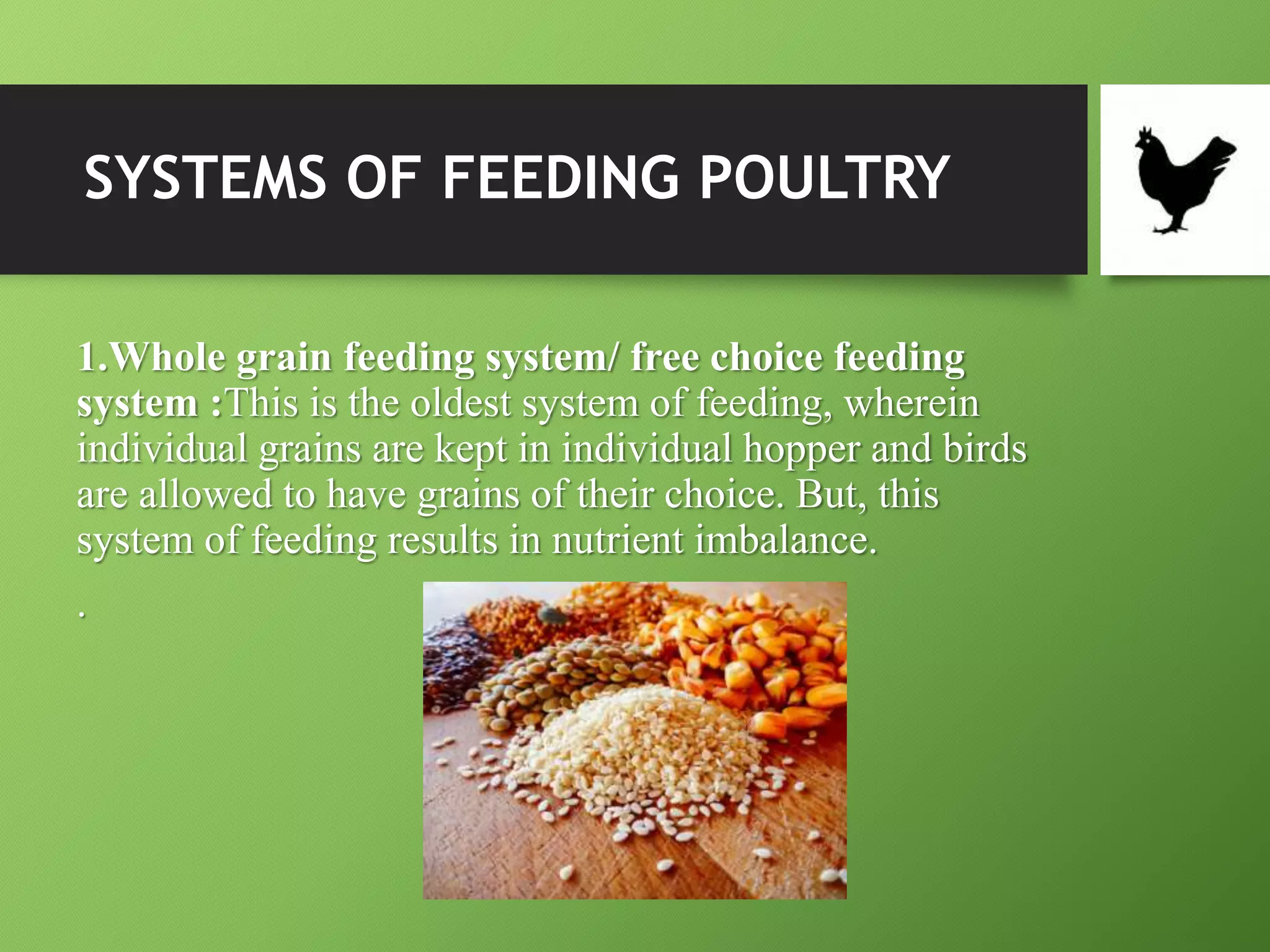 Common feedstuffs for poultry and nutrient requirement of poultry feed ...