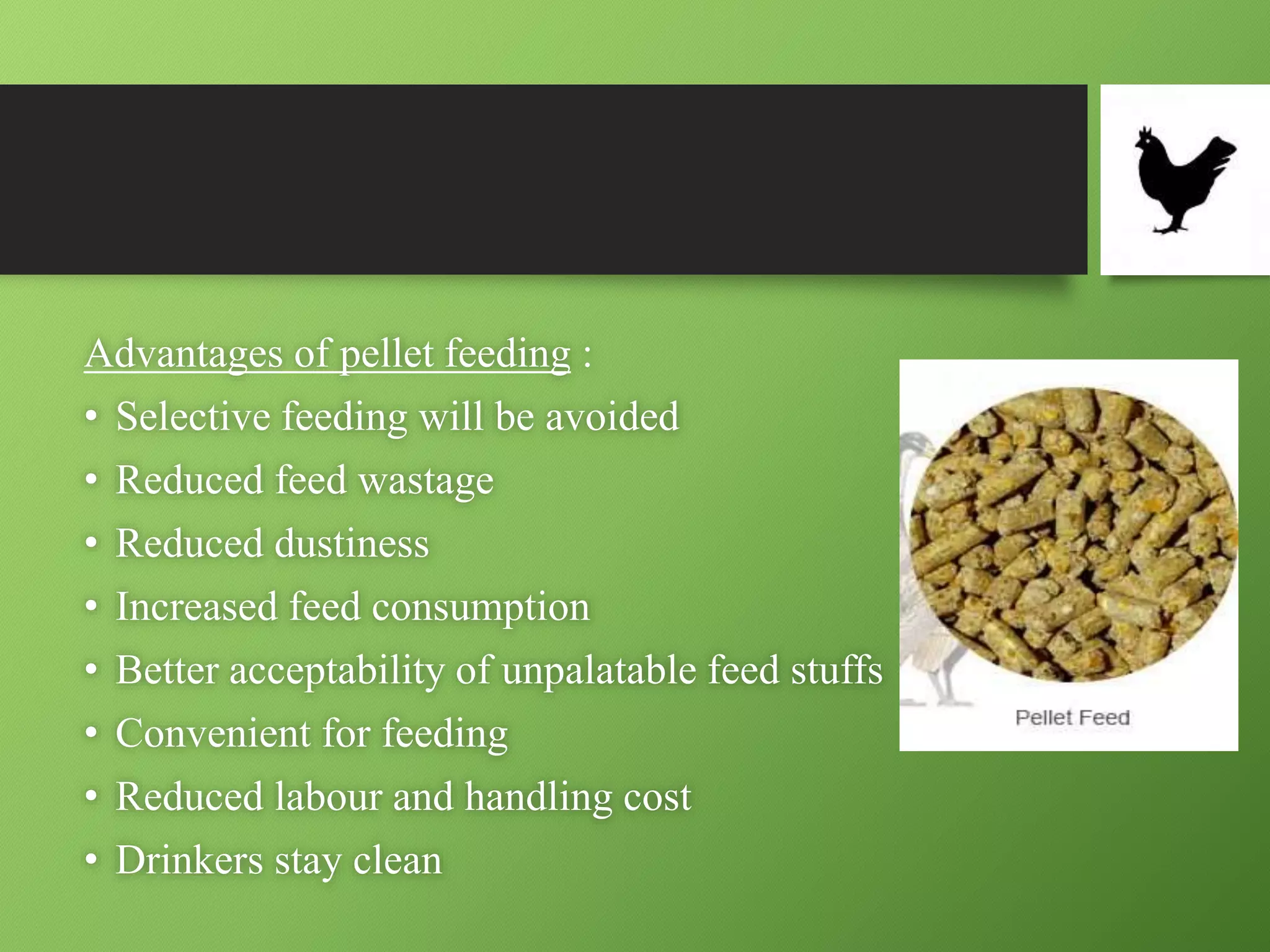 Common feedstuffs for poultry and nutrient requirement of poultry feed ...